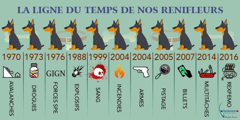 Détection chien Exctasy / PsychoACTIF Détection chien Exctasy / PsychoACTIF