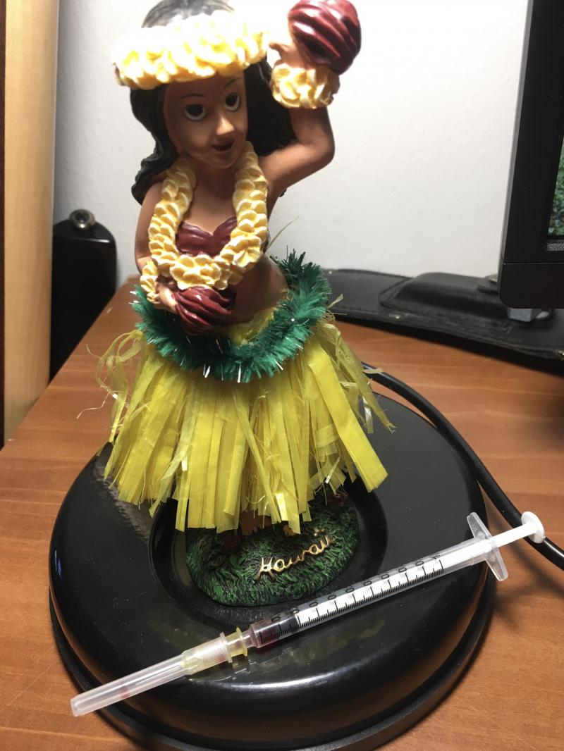 Photothèque de FDL / Les Blogs de PsychoACTIF