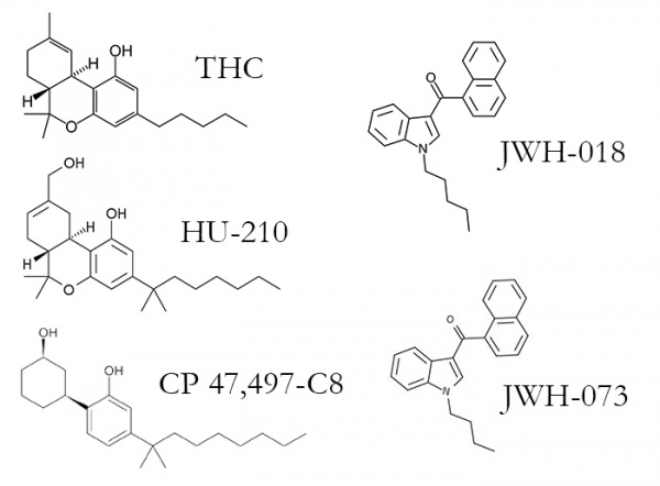 Cannabinoïdes synthétiques — PsychoWiki, le wiki de Psychoactif